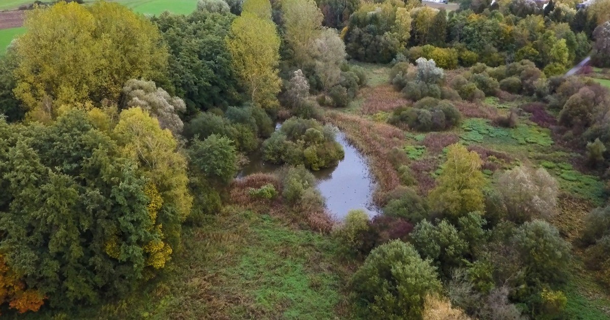 Weil Der Stadt Diskussion Um Das Merklinger Ried Baden Tv
