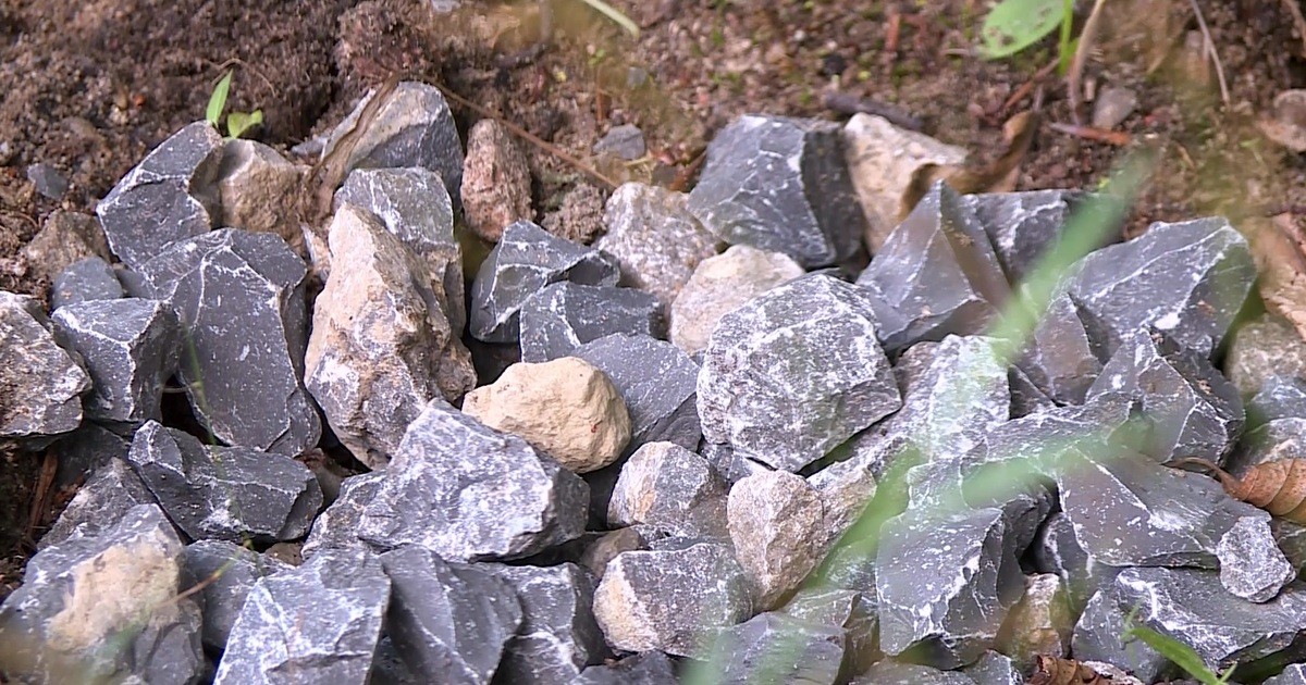 Klimafeste Bäume dank Splittzylinder-Methode vom KIT? | Baden TV