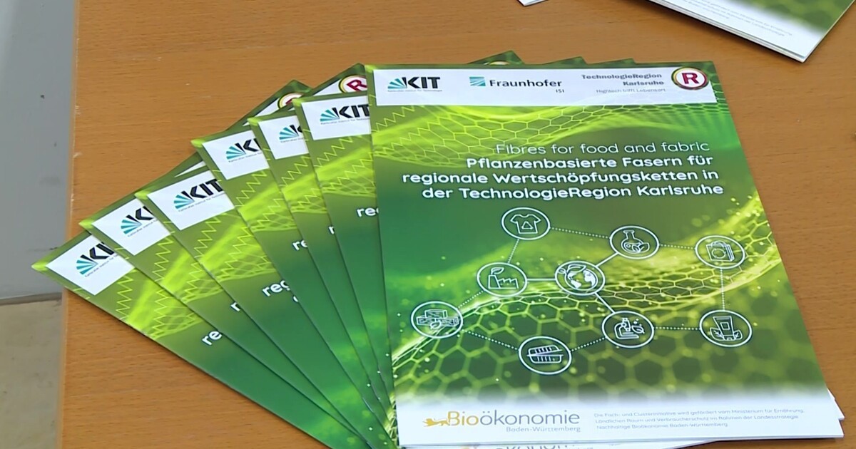 Bioökonomie: Pflanzenbasierte Fasern als Chance für die nachhaltige Wertschöpfung in der Region ...