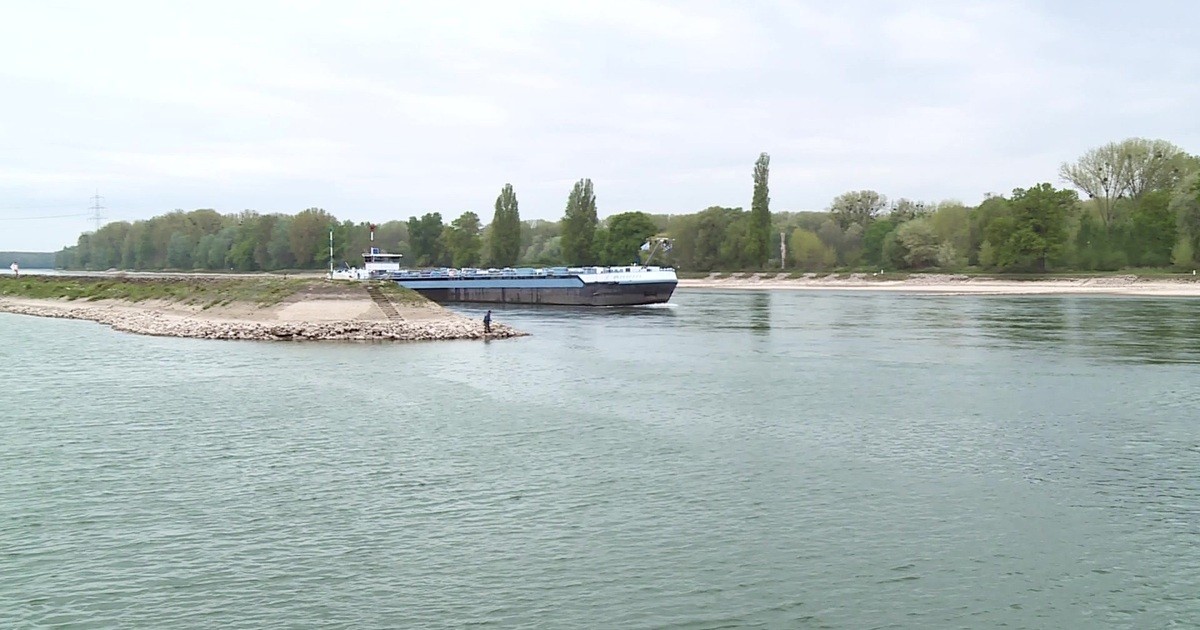 Regeln zum Baden im Rhein | Baden TV